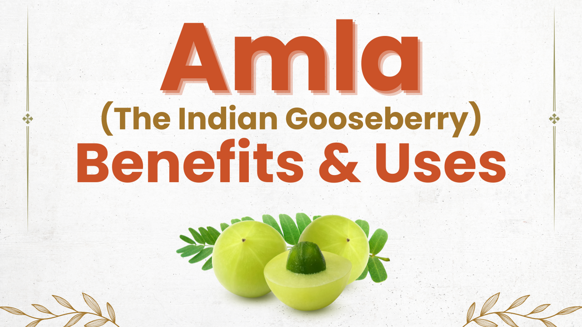 Amla - The Benefits & Uses – GARRY N SUN