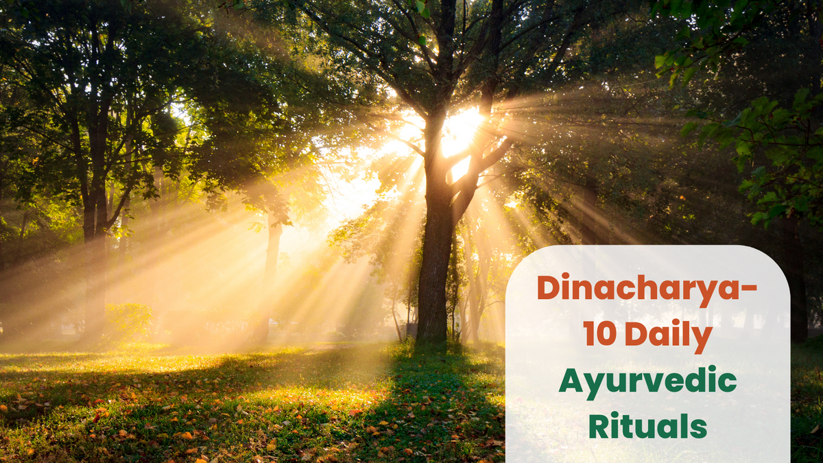 Dinacharya - 10 Daily Ayurvedic Rituals – GARRY N SUN